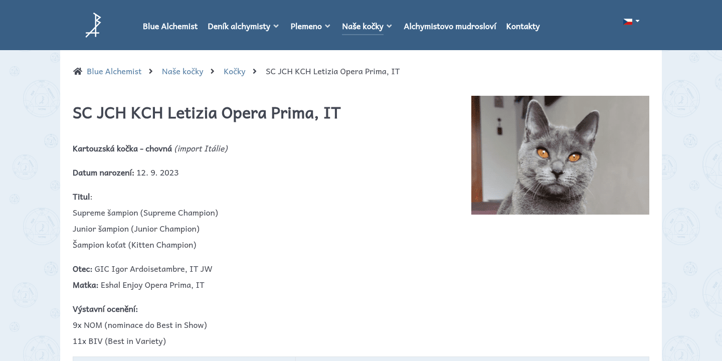 SC JCH KCH Letizia Opera Prima, IT | Blue Alchemist, CZ - Chartreux ...