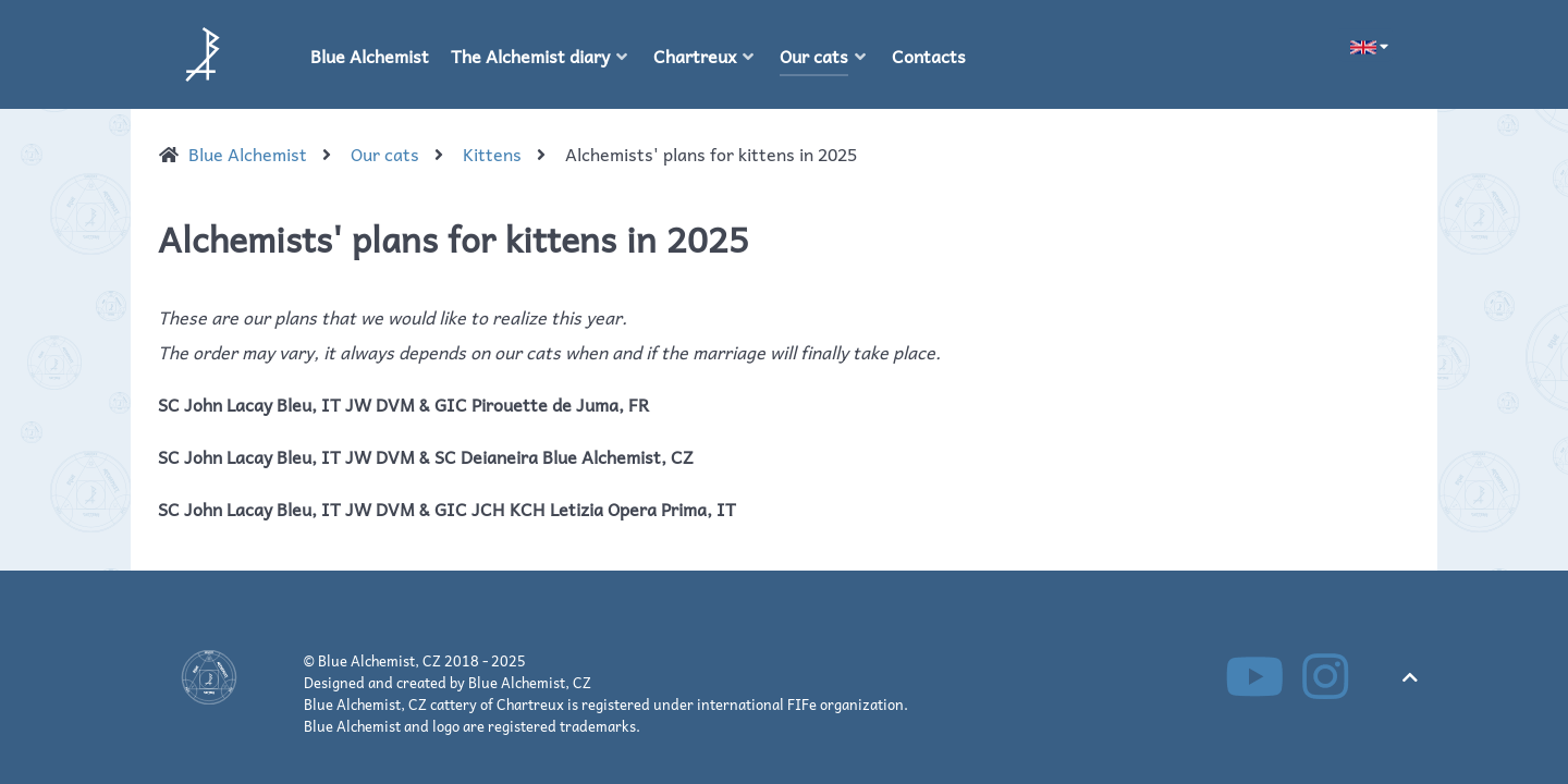 Alchemists' plans for kittens in 2025 | Blue Alchemist, CZ - Chartreux - Kartouzská kočka